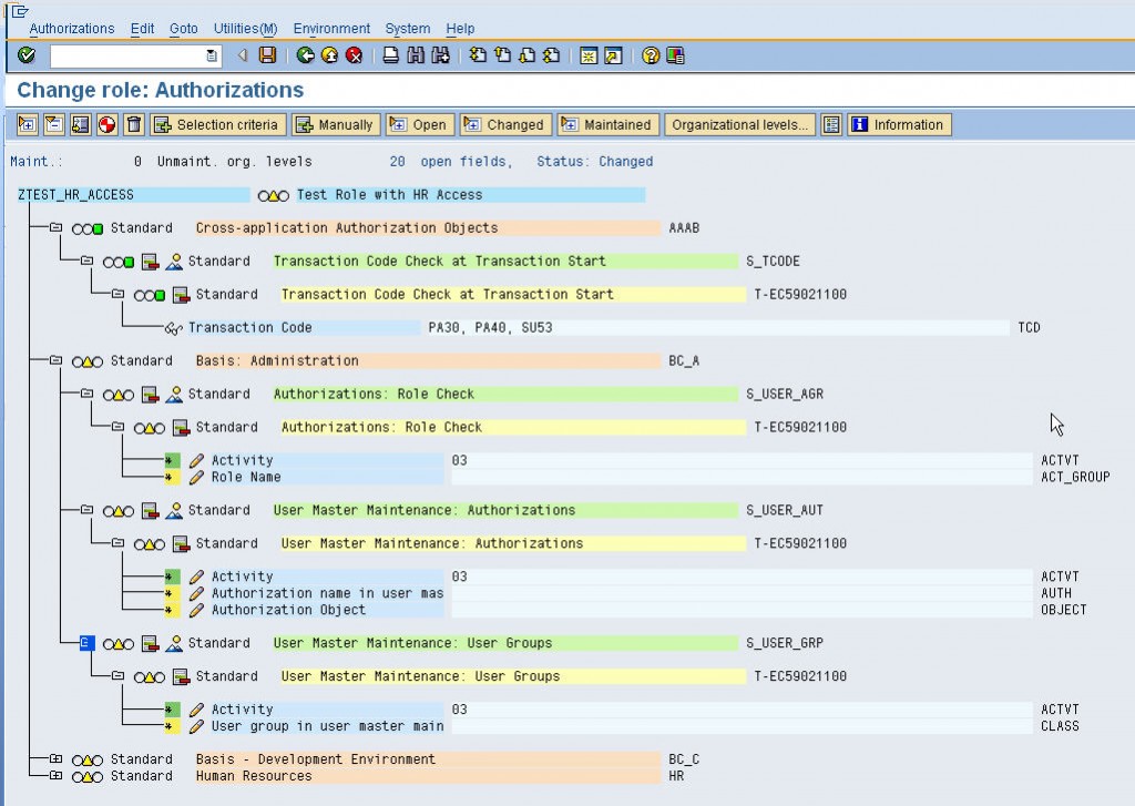Roles & Authorizations – Sap Security Pages