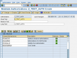 Analysis Authorizations – Sap Security Pages